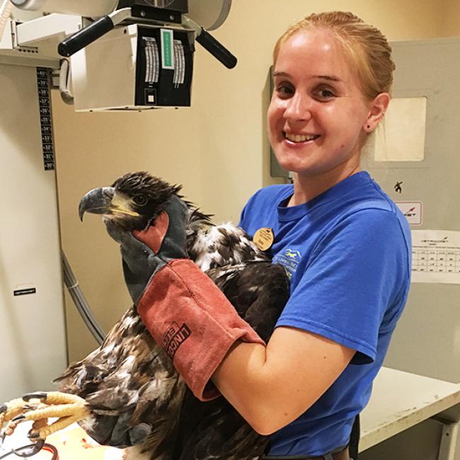 A future zookeeper, dentist and researcher walk into a Reading/Writing ...